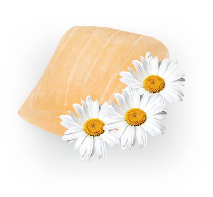 Easy Herbal - 3 pack – Chamomile Life